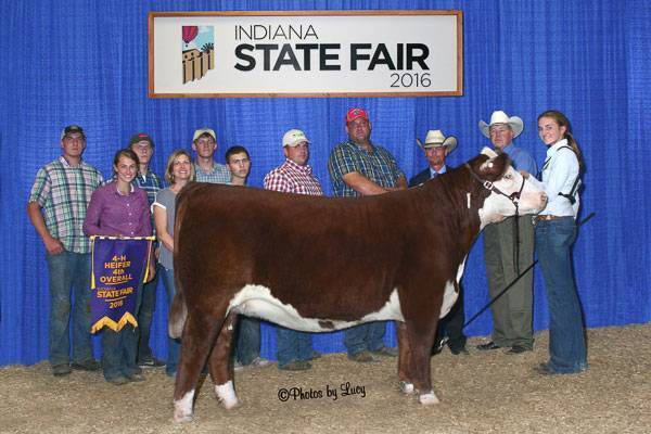 CUSTOMER SUCCESS - Sennett Cattle